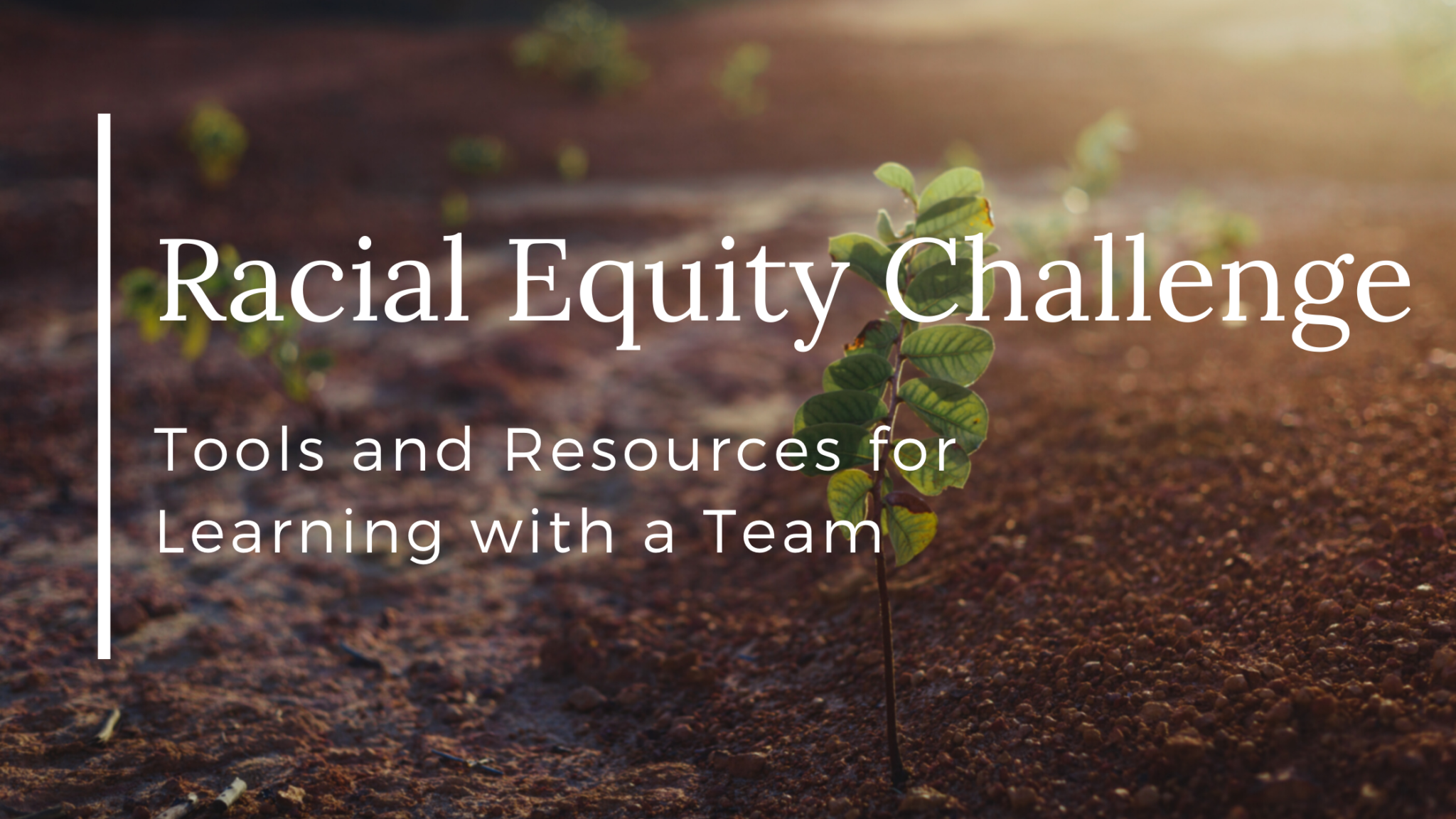 21-Week Racial Equity Challenge: Resources for Working as a Team | AERO